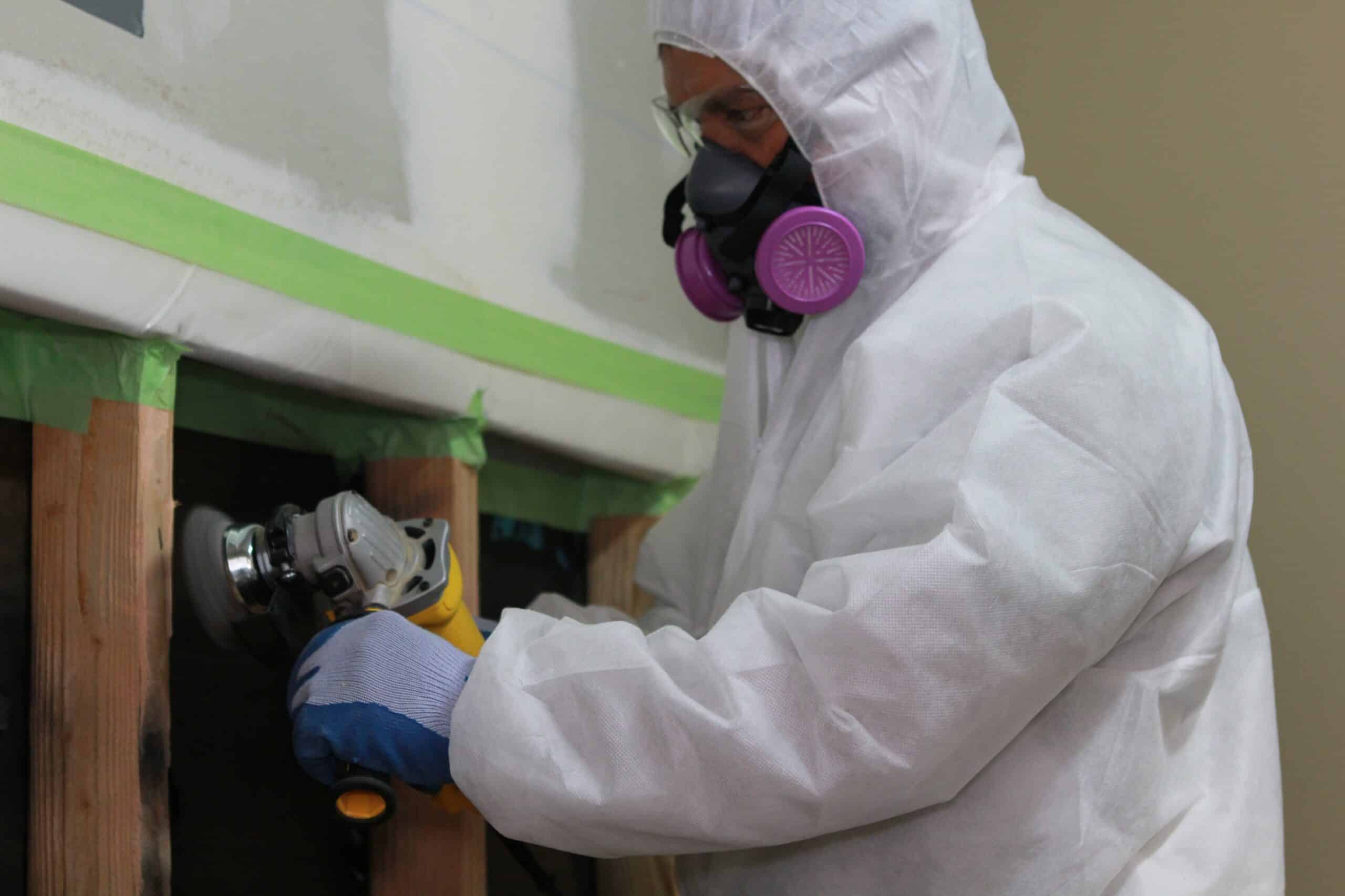 Mold Remediation Costs Explained: What You Need to Know - Mold Safe ...